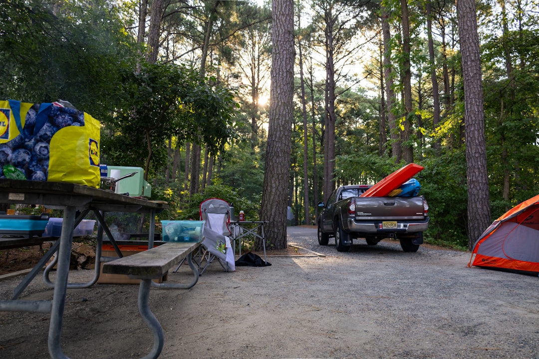 Who Pays for Camp Century Cleanup: Exploring Responsibility
