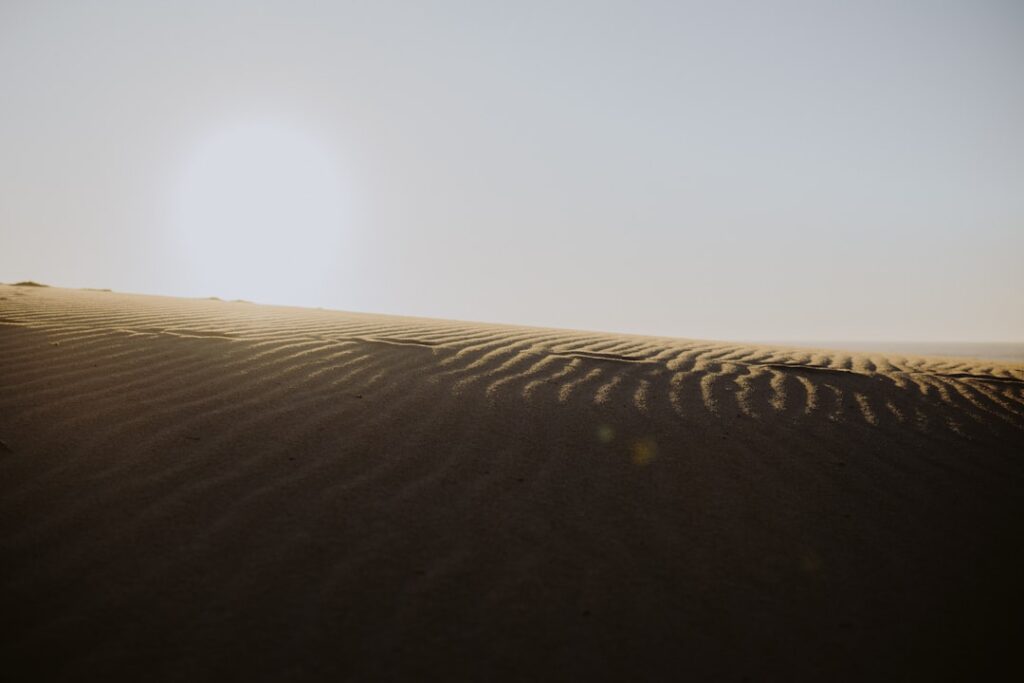 The Tragic Loss at Desert One: The Story of Eight Fallen Servicemen