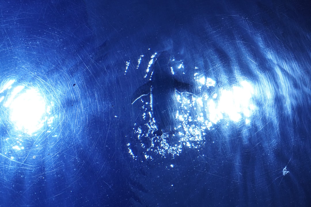 Acoustic Fingerprint: Submarine Detection Technology