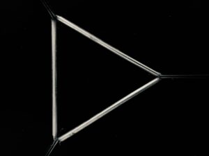 Understanding the Iron Triangle: Pentagon, Congress, and Contractors