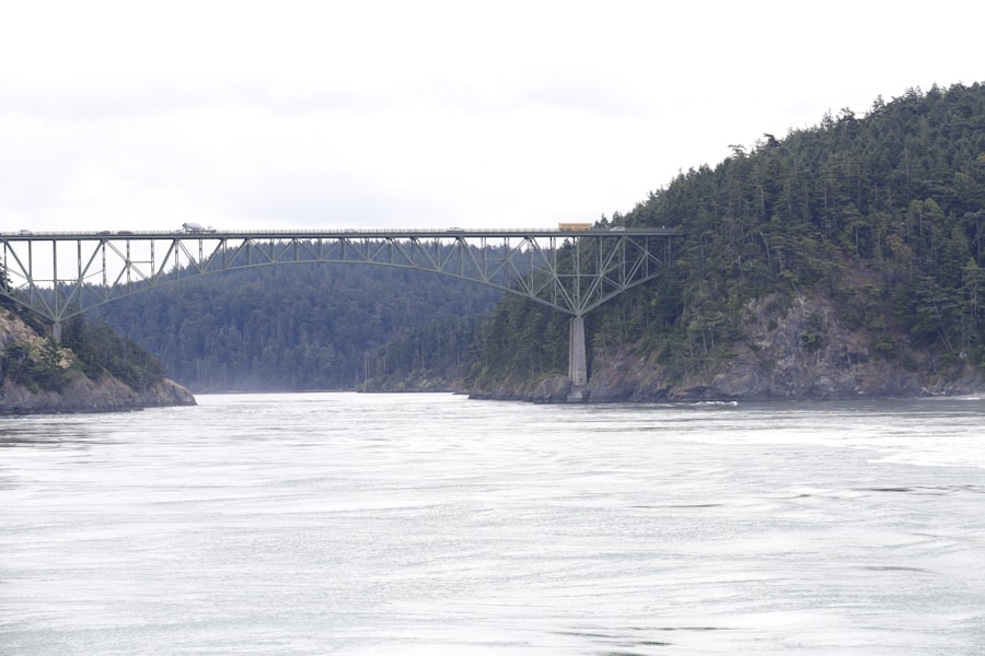 Deception Tactics in Military Networks