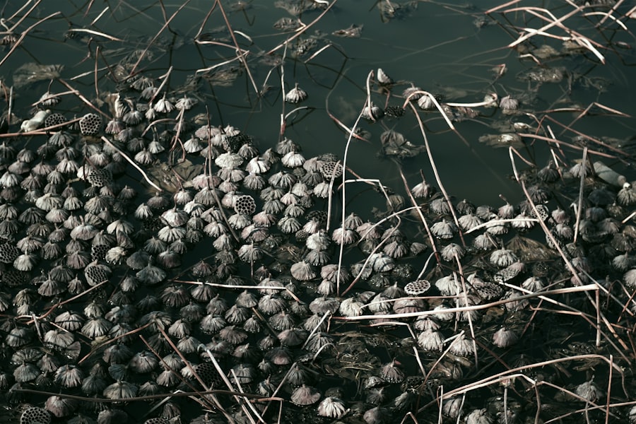 Unlocking the Mystery of Hughes Glomar Explorer's Manganese Nodules