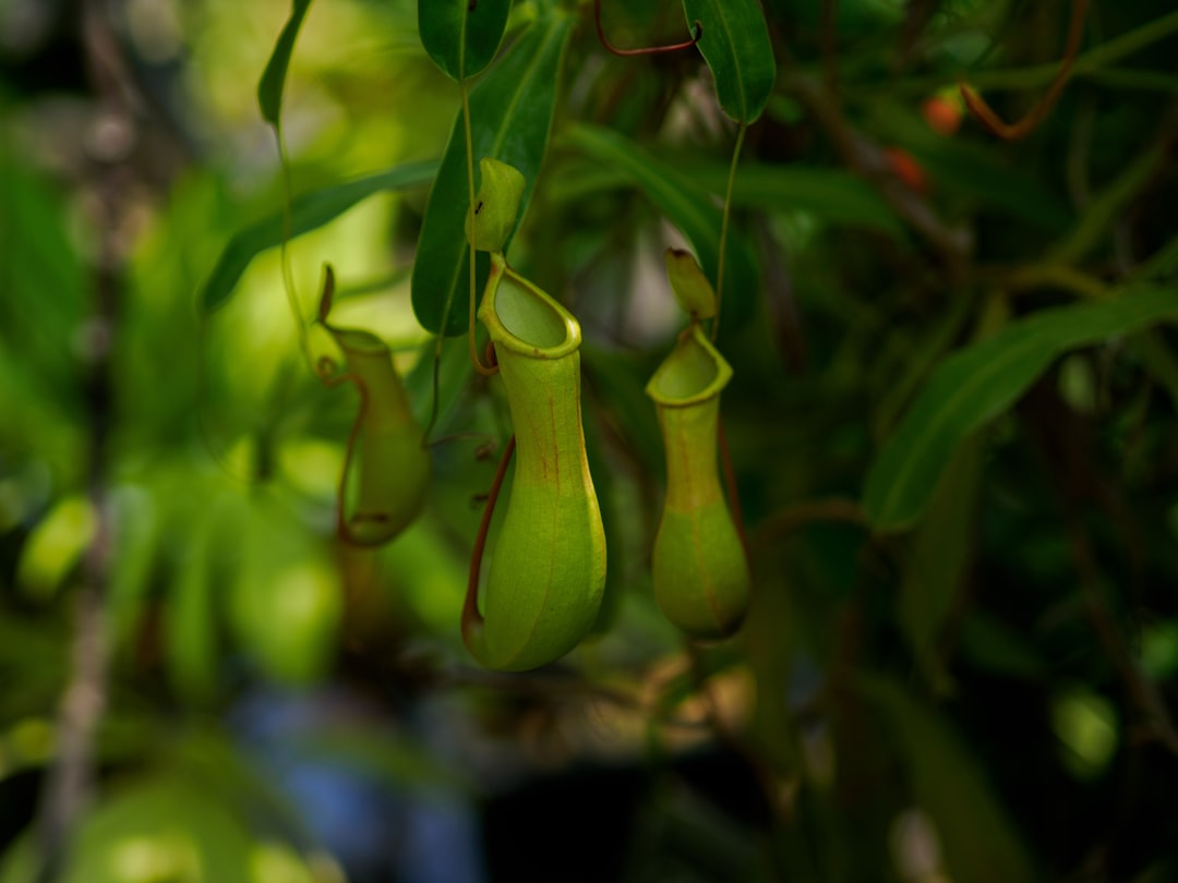 KGB Discovers Ivy Bells Pod