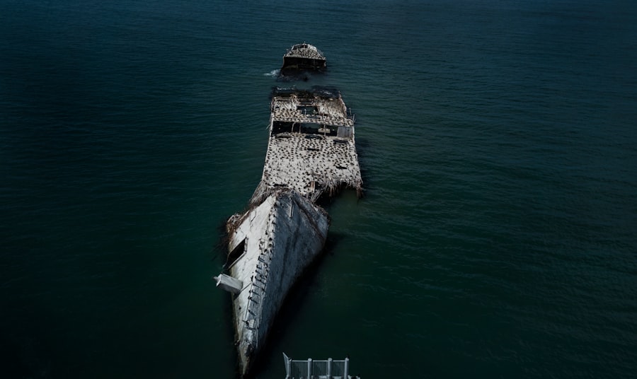 US Navy Intelligence Collection in Cold War