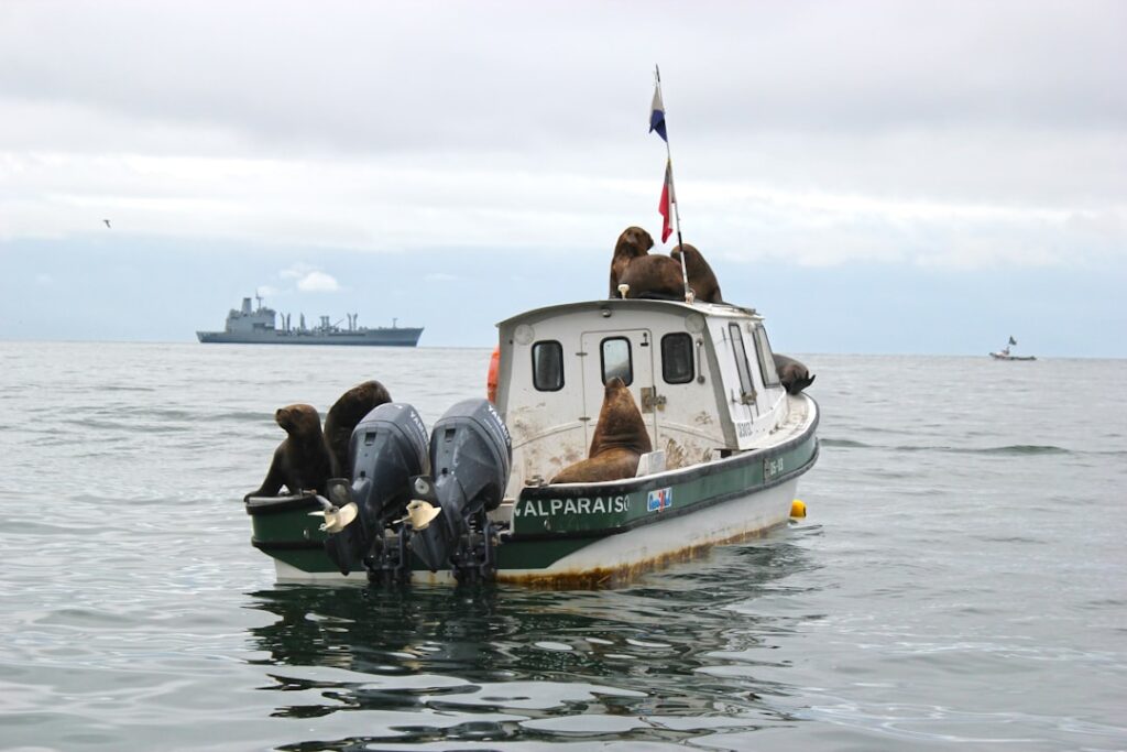 USS Halibut: Special Operations at Sea