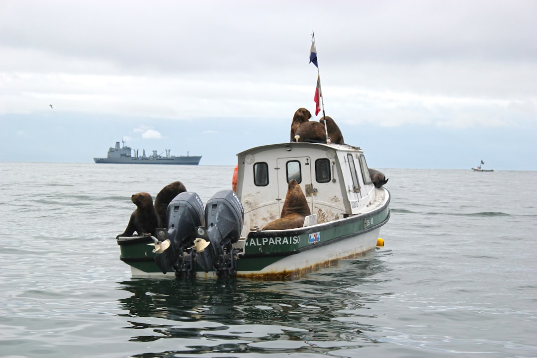 USS Halibut: Special Operations at Sea