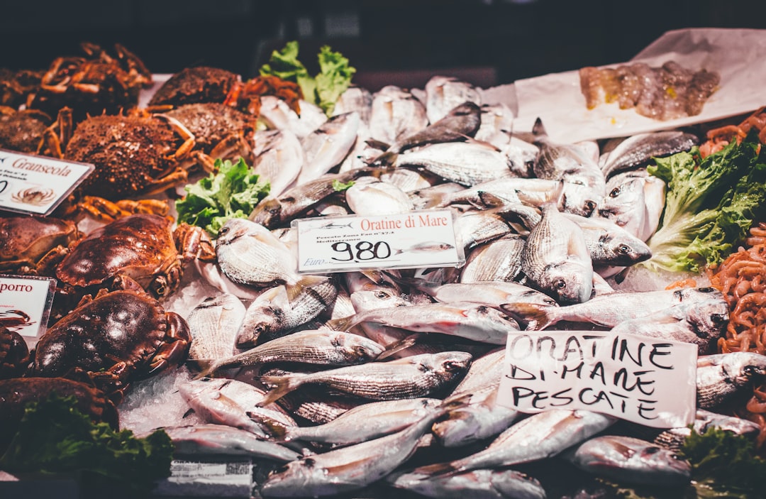 Wild vs Farmed Salmon: Health Comparison
