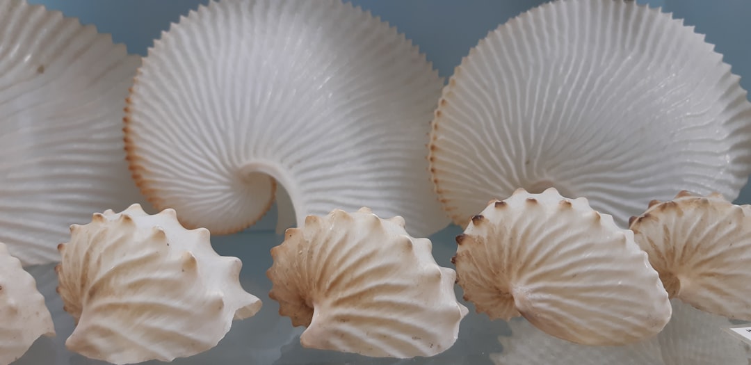 Exploring Polymer Shells: Educational Weather Platforms