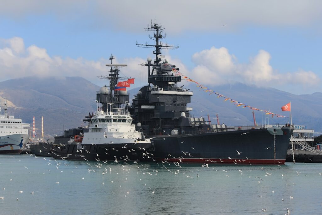The Soviet Navy's Role in the Cold War
